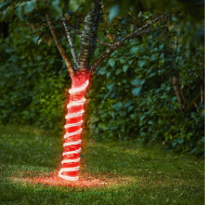 Strip, Rope & Curtain Lights – Lighting World